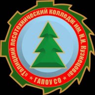 Иконка канала Талицкий лесотехнический колледж им. Н.И.Кузнецова
