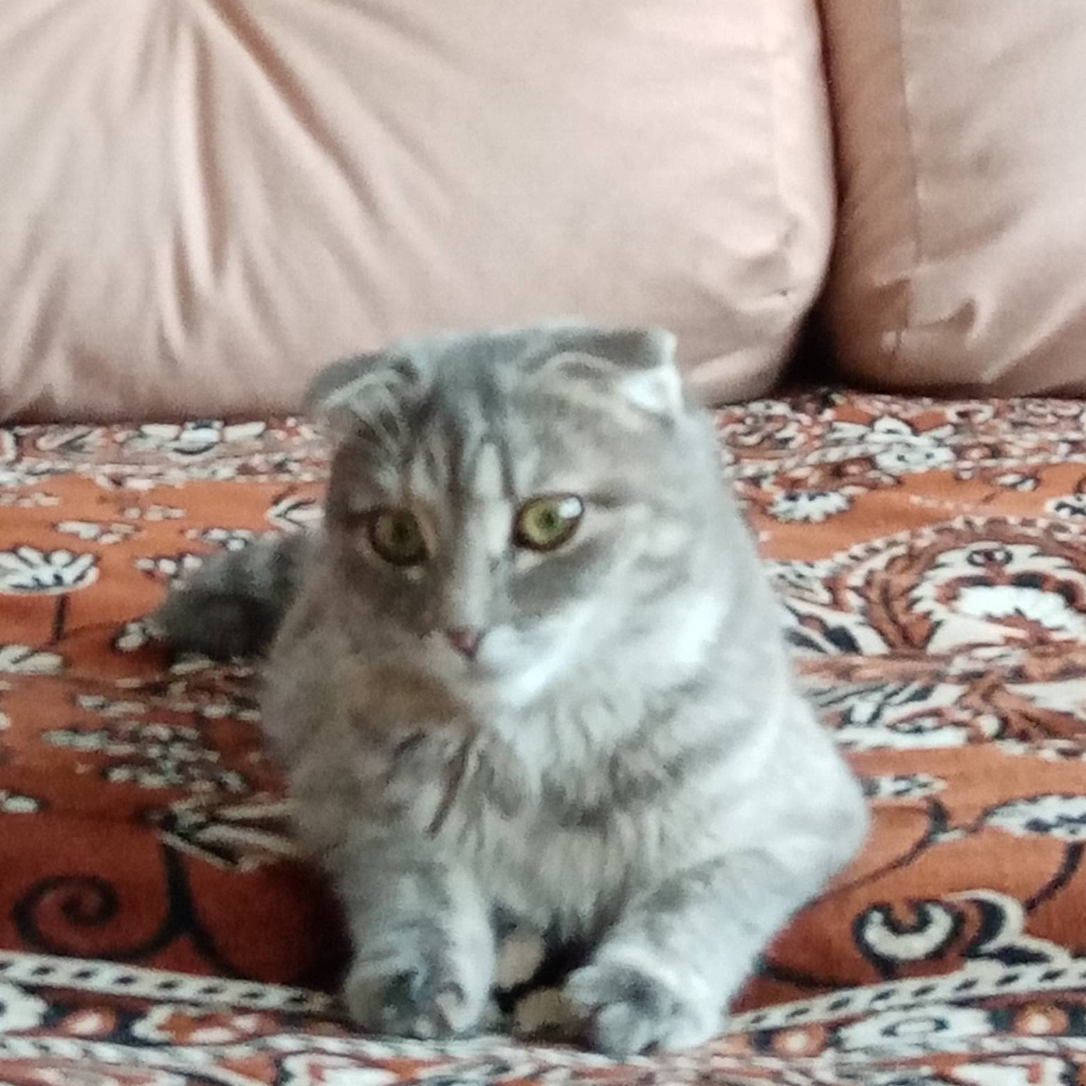 Иконка канала Котя Мотя.ru  Дневник Кузькиной  Матери.