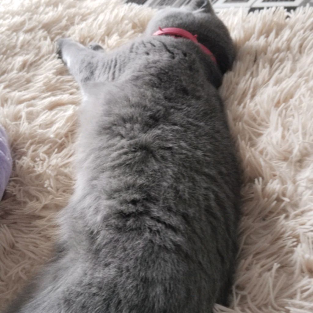 Иконка канала channel41829834