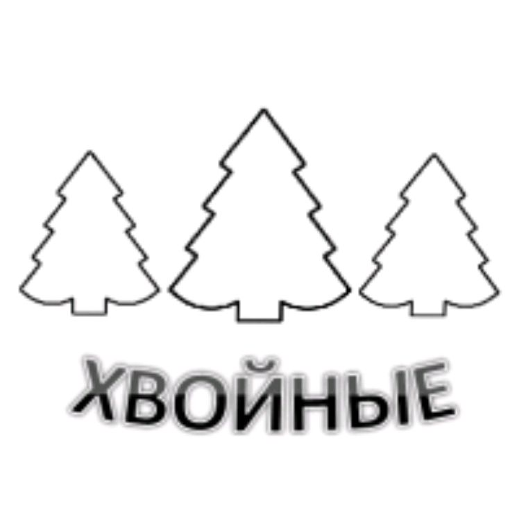 Иконка канала Хвойные 🌲