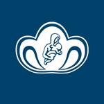 Иконка канала ФГБУ «НМИЦ АГП им. В.И.Кулакова»