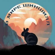 Иконка канала В мире шиншилл
