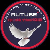 Иконка канала ГОЛУБИ И ГОЛУБЯТНИКИ ГОРОДА УФЫ.