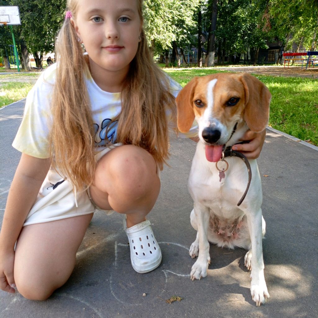 Иконка канала Вика и smart dog