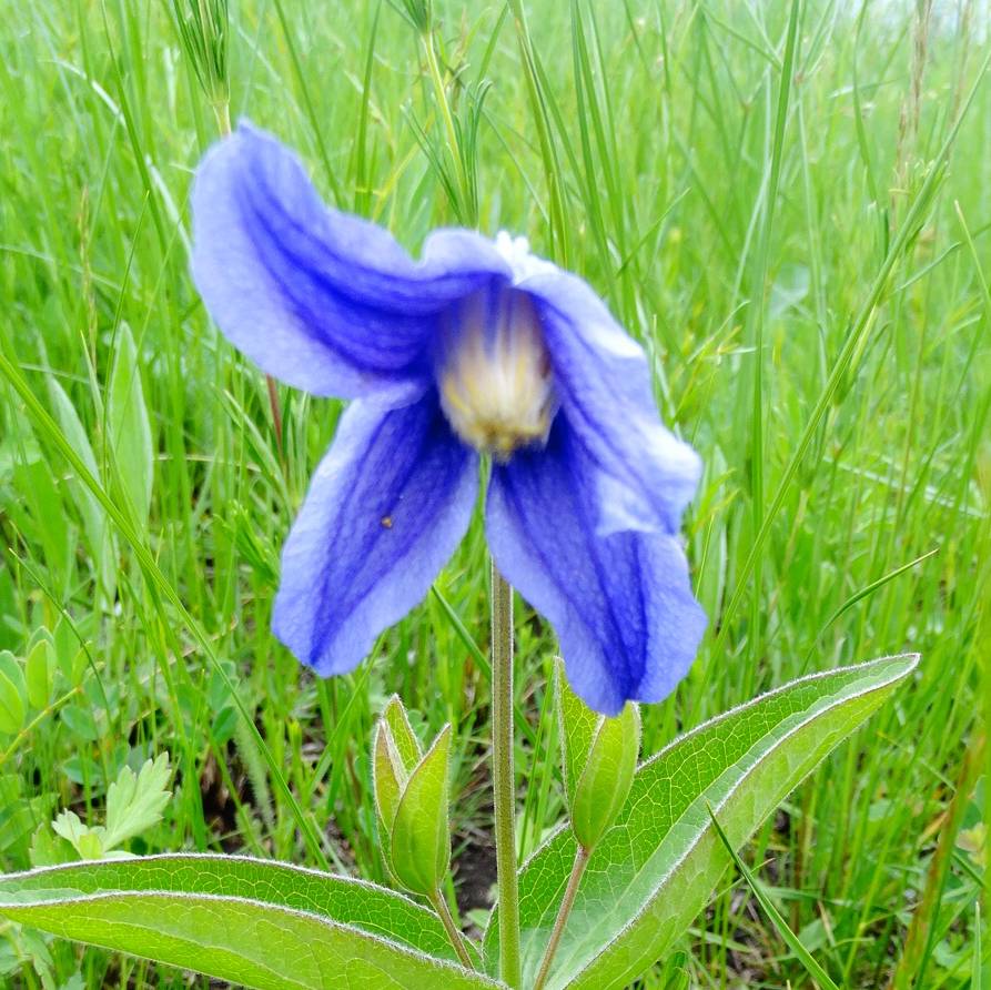 Иконка канала ПРОФЕССИОНАЛЬНАЯ ПЕДАГОГИКА.  АЛЕКСАНДР НИКОЛАЕВИЧ