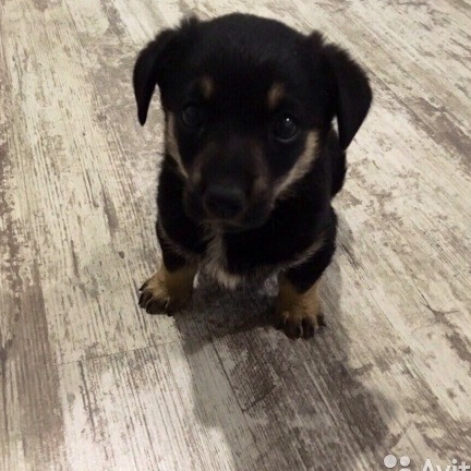 Иконка канала Просто Малыш и не только)