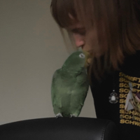 Иконка канала filme de Santiago