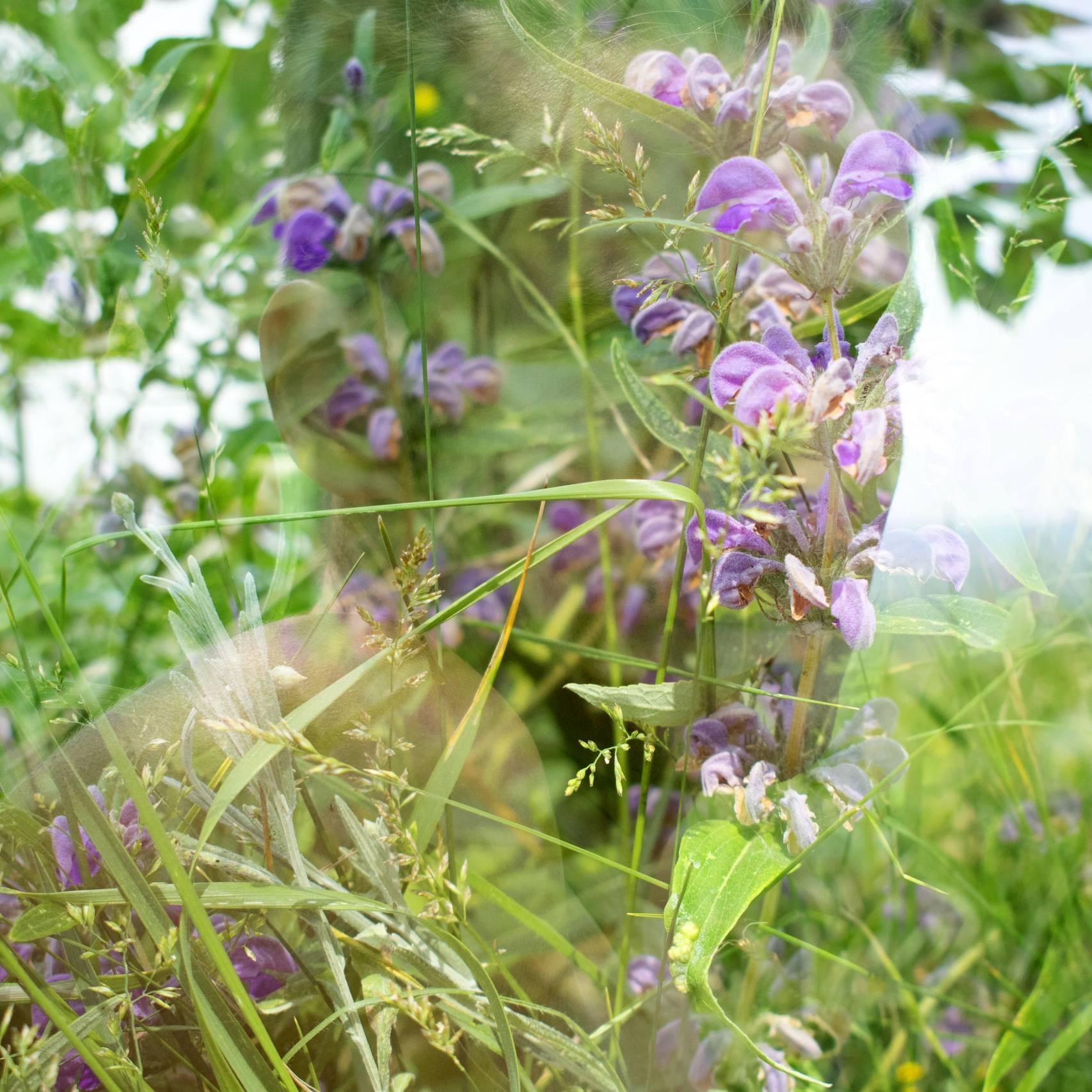 artegoist. Смотрите видео онлайн, бесплатно