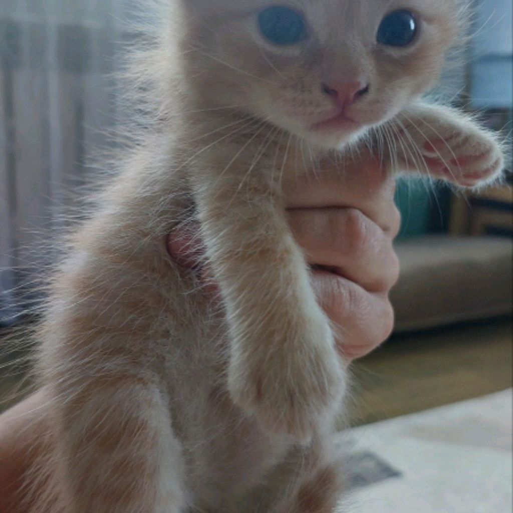 Иконка канала ммдемс080816