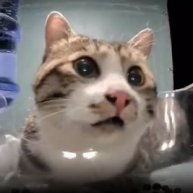 Иконка канала Silence_Play