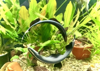 Иконка канала Аквариумистика это кайф