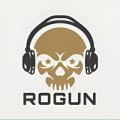 Иконка канала ROGUN