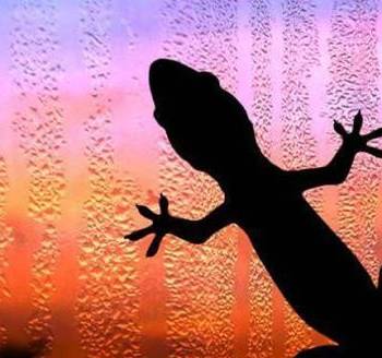 Иконка канала Emris