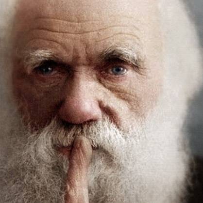 Иконка канала Дарвин