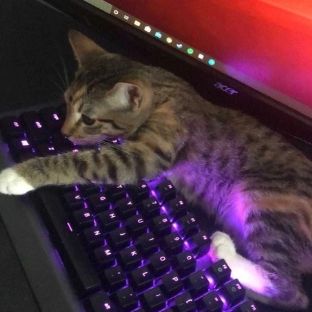 Иконка канала Iriszz