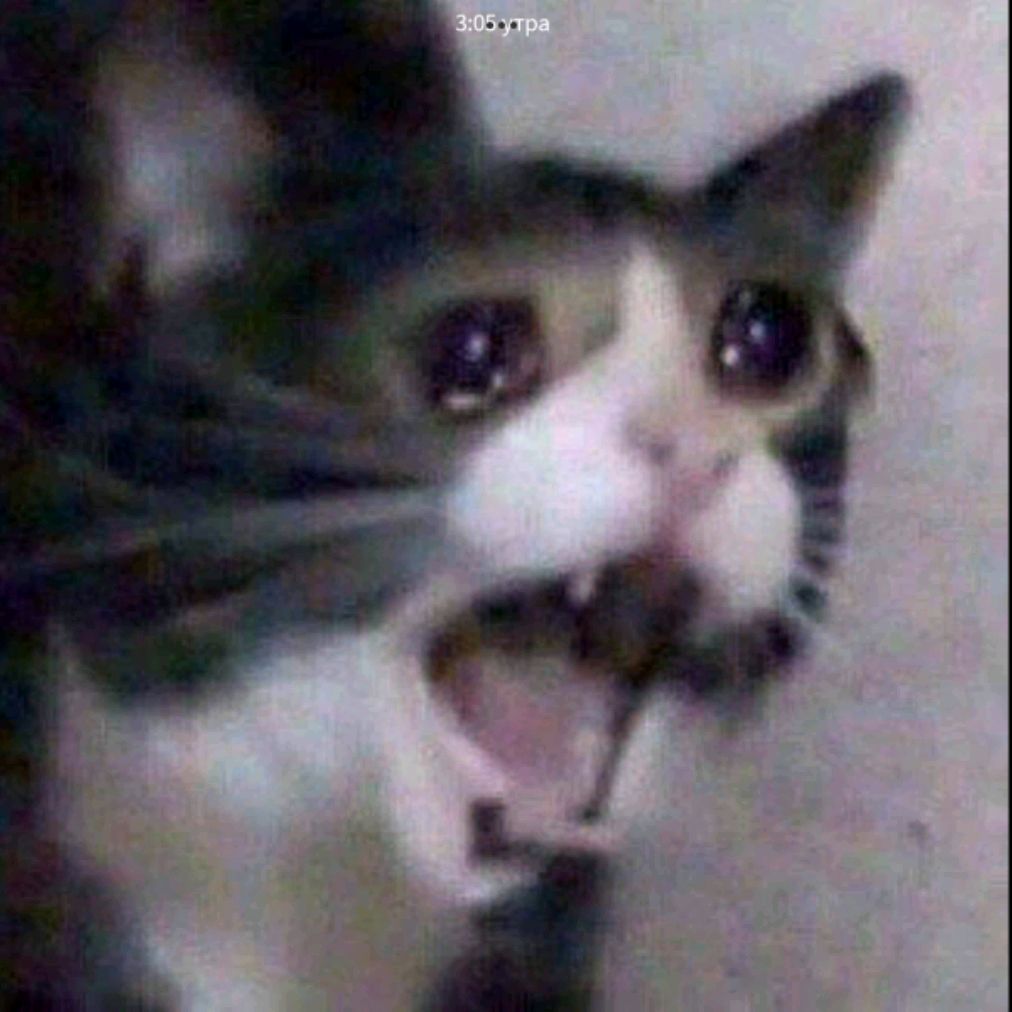 Иконка канала 🤟Xleb770🤟