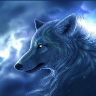 Иконка канала TM VOLK