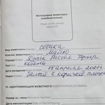 Иконка канала Майло