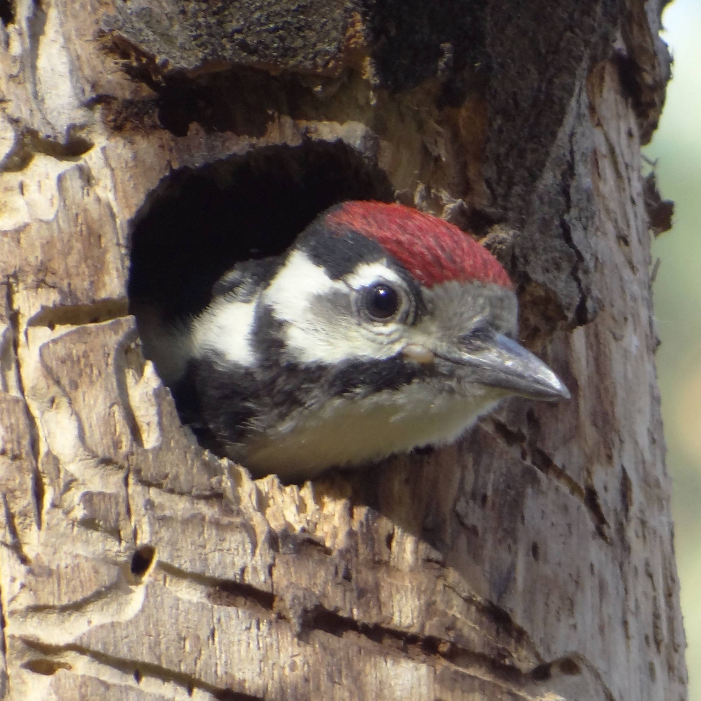 Иконка канала Мир вокруг нас