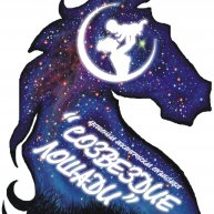 Иконка канала АНО иппотерапевтический центр "Созвездие лошади"