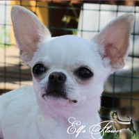 Иконка канала Мария Еремина