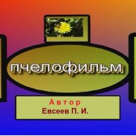 Иконка канала Petr Evseev