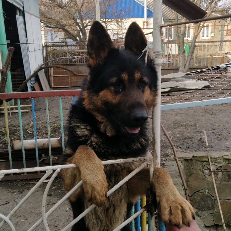 Иконка канала Сибиряк на юге