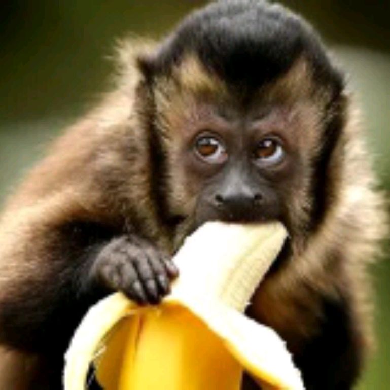 Иконка канала hryundik7