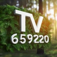 Иконка канала 659220 Залесово