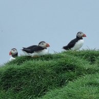 Иконка канала Путешествия с бармалейками