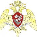 Иконка канала Федеральная служба войск национальной гвардии (Росгвардия)