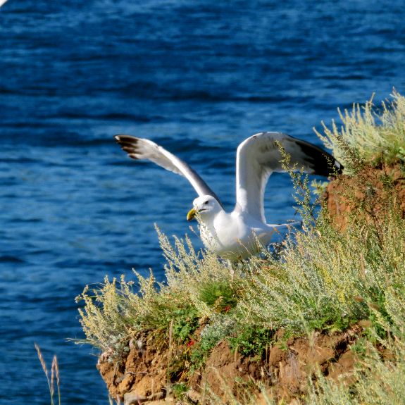Иконка канала Юрий Онофрей