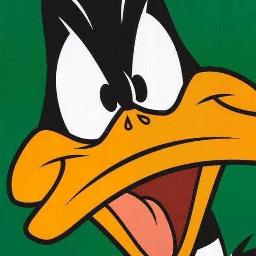 Иконка канала MAGPIE