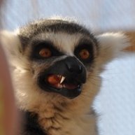 Иконка канала Константин Юргель