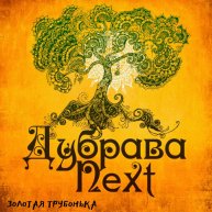 Иконка канала Фолк-ансамбль Дубрава Next
