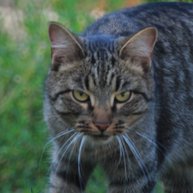 Иконка канала Мой блог