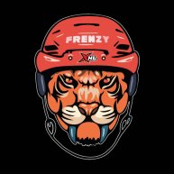 Иконка канала Hockey Frenzy Team