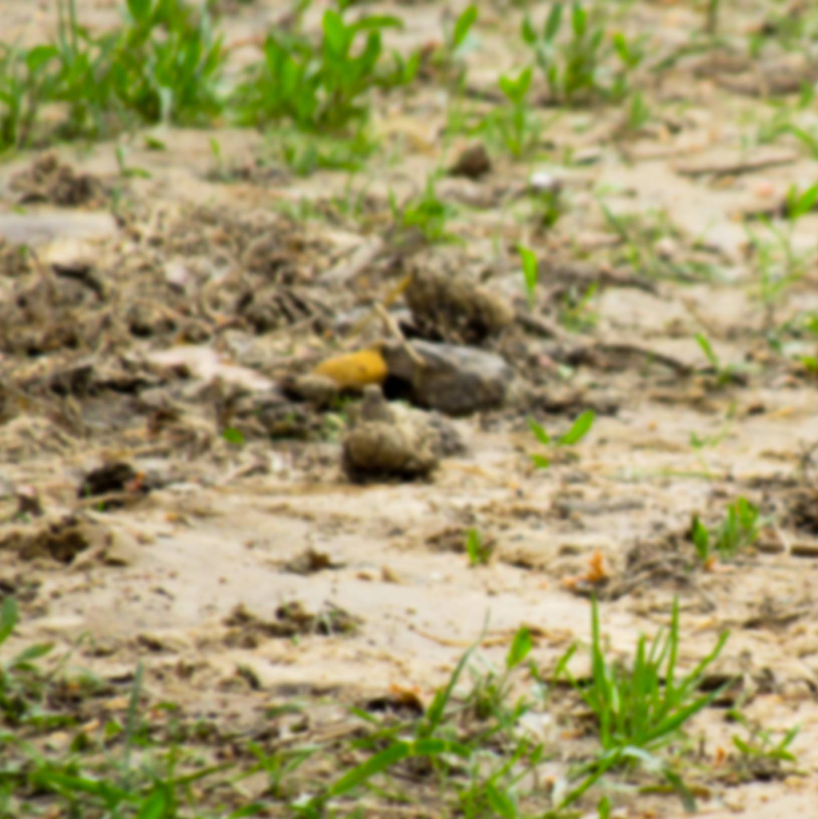 Иконка канала Сергей Аксёнов