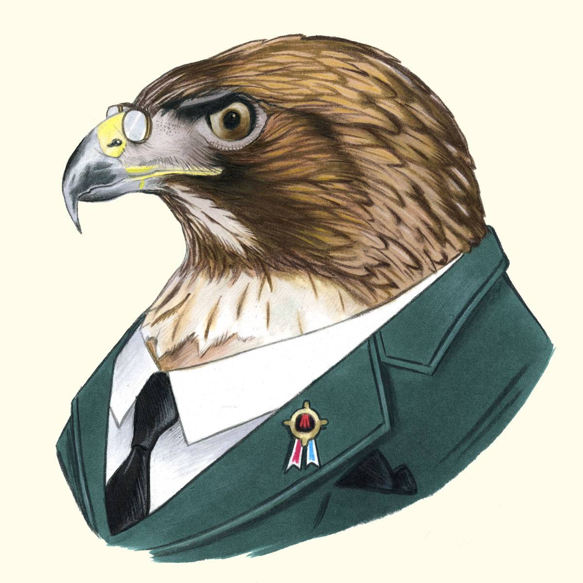 Иконка канала Rarog Falconida
