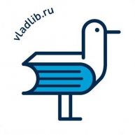 Иконка канала Библиотеки Владивостока
