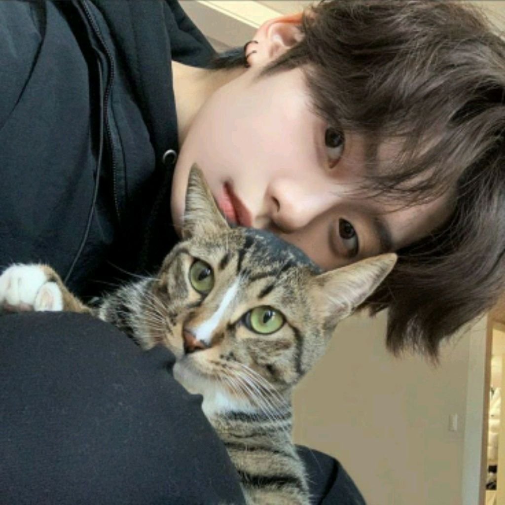 Иконка канала Minho