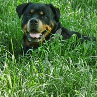 Иконка канала Разум, - понятие относительно чего, или кого...?!