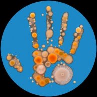 Иконка канала Петритест - микробиологические экспресс-тесты