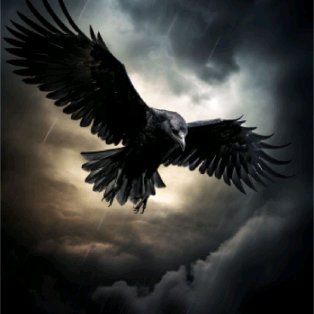 Иконка канала Torfinn Hrafnfreistudr