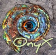 Иконка канала Onyx paleo