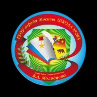 Иконка канала School 285_Школа №285. им. В.А. Молодцова