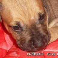 Иконка канала Любовь Василенко