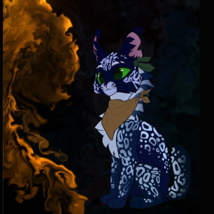 Иконка канала Chernysh13