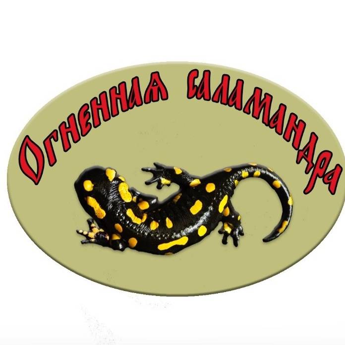 Иконка канала ОГНЕННАЯ САЛАМАНДРА !СВАРОЧНЫЕ РАБОТЫ