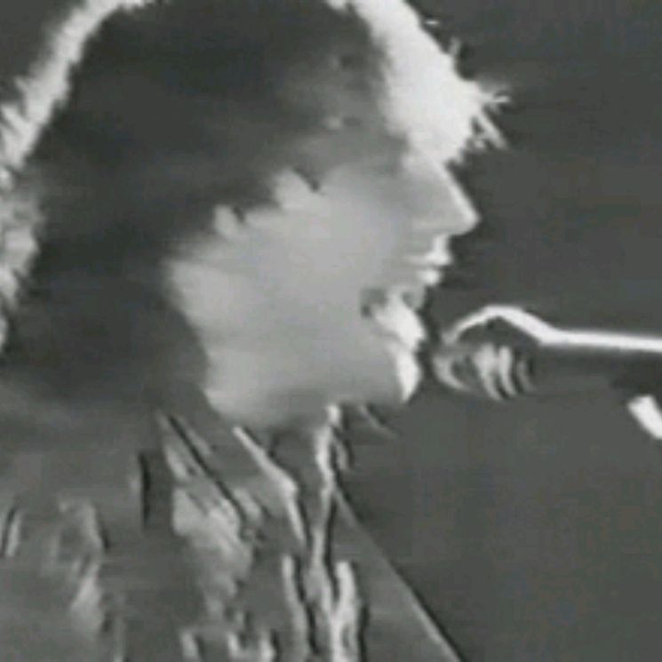 Иконка канала Группа "Приют для красных собак"